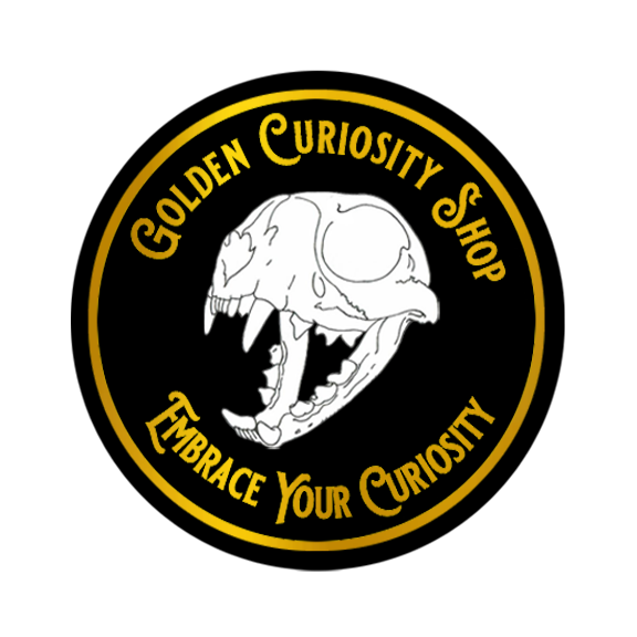 Golden Curiosity Shop | Golden Curiosity Shop