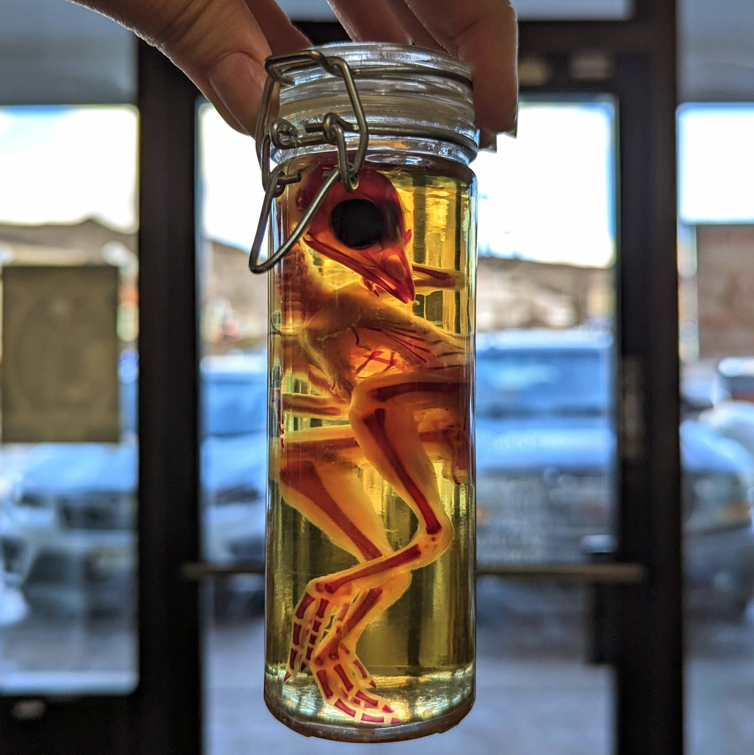 Golden Curiosity Shop | Golden Curiosity Shop