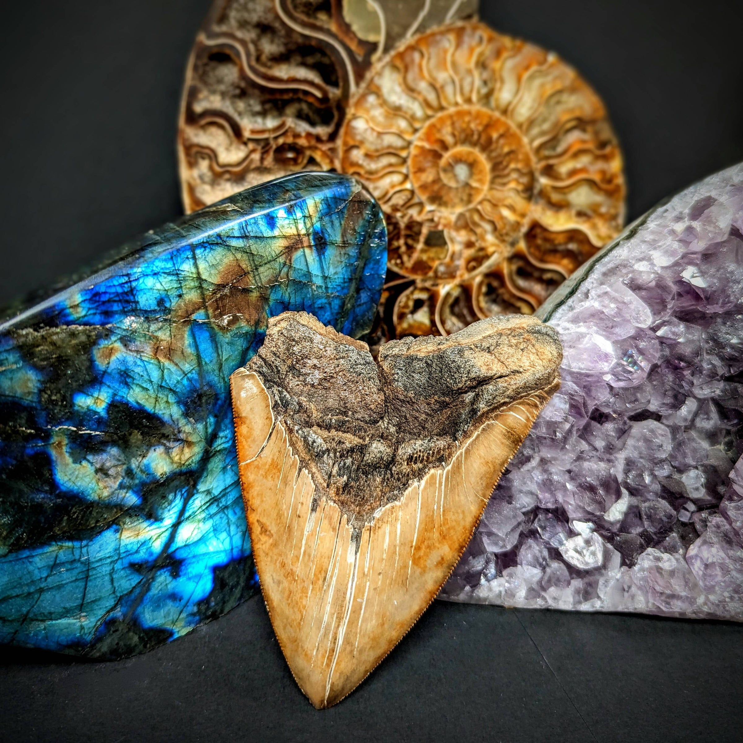 Golden Curiosity Shop | Golden Curiosity Shop
